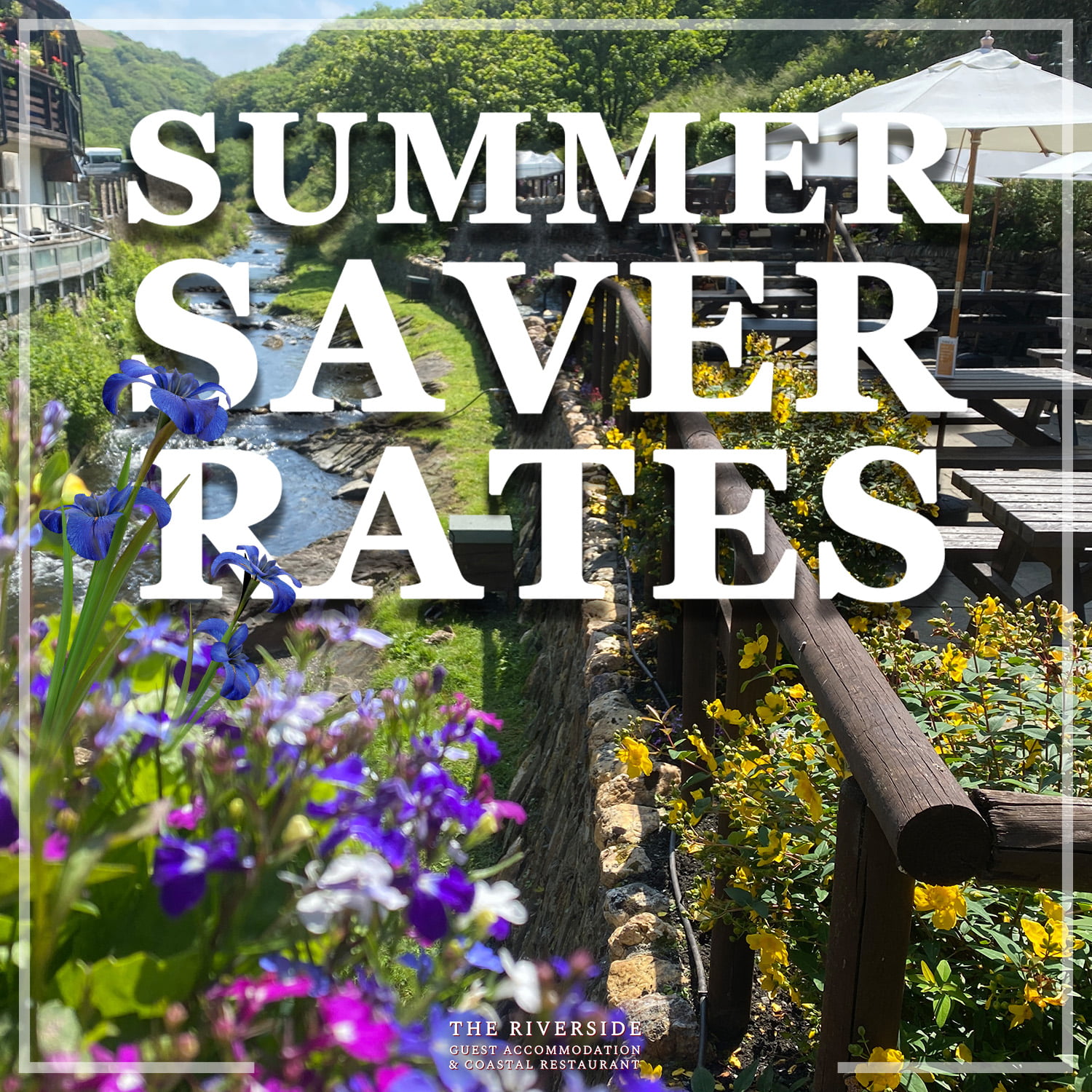 Summer beaks in Boscastle – Your perfect coastal escape - The Riverside